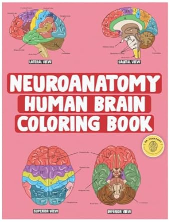 Neuroanatomy Human Brain Coloring Book: Neuroscience Coloring Book with ...