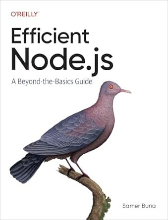 Efficient Node.Js: A Beyond-The-Basics Guide | 1098145194 - Book Depository